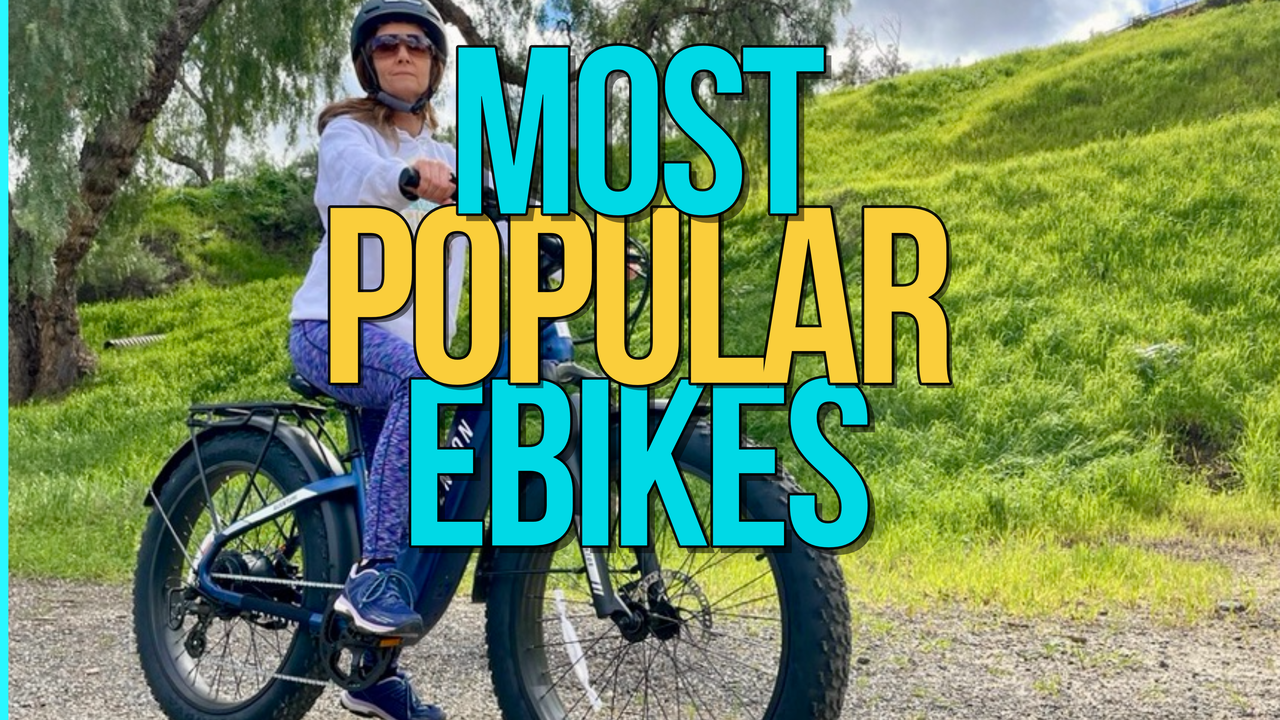 2024 Popular E-Bike Brands List (by Price and Types) - Electric Bike ...